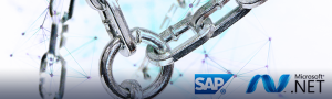 Conectando la aplicación de .NET con SAP – DW Training